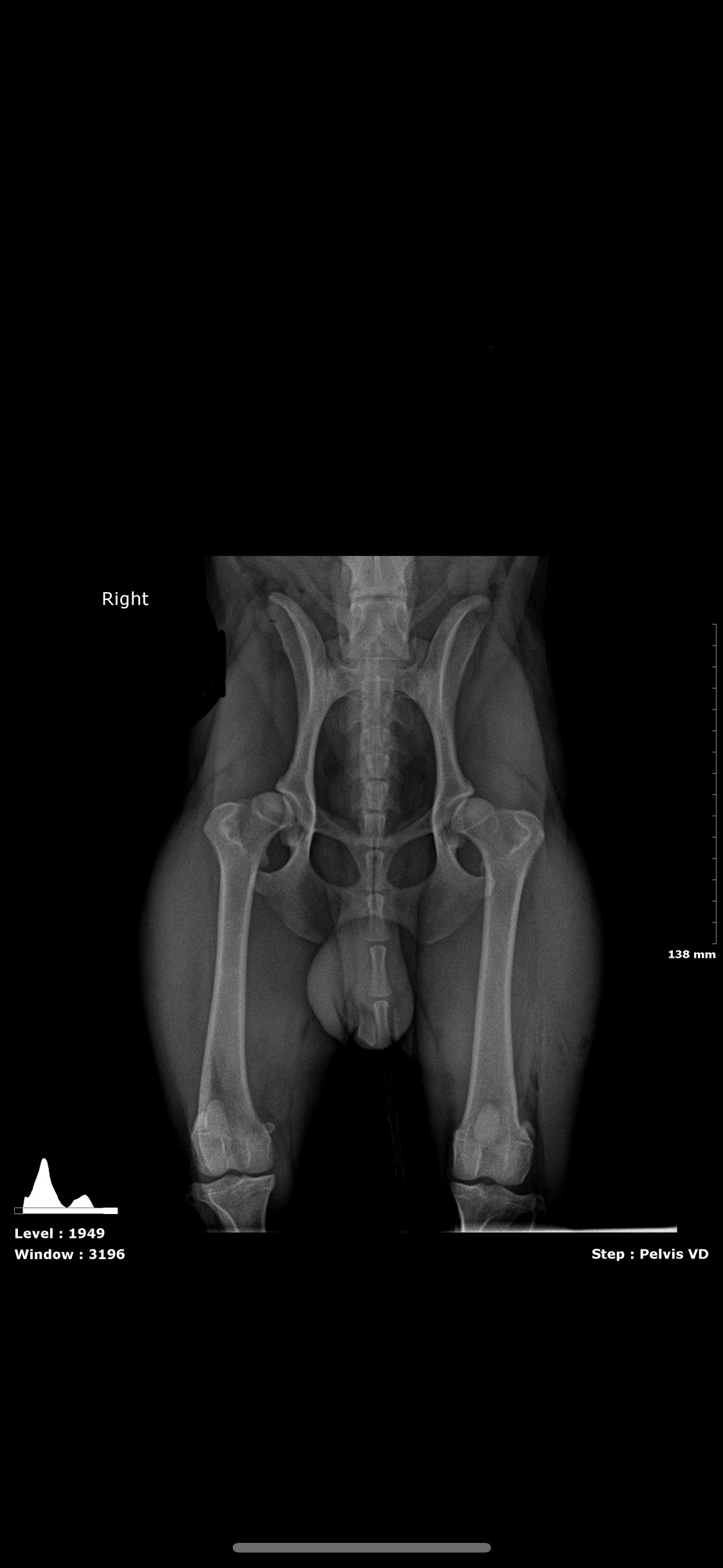 Health Tested. What does that even mean? - CNR Farms