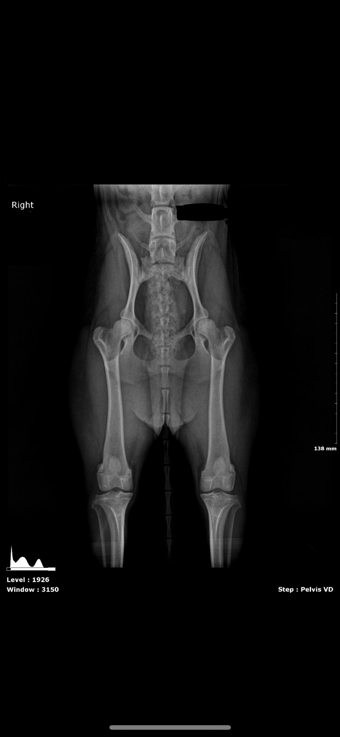 Health Tested. What does that even mean? - CNR Farms